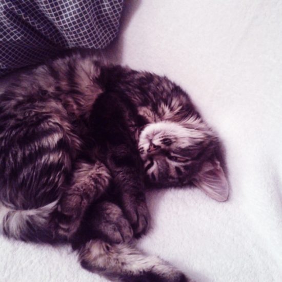 Jorge Kapa – Παρατηρώντας τι συμβαίνει